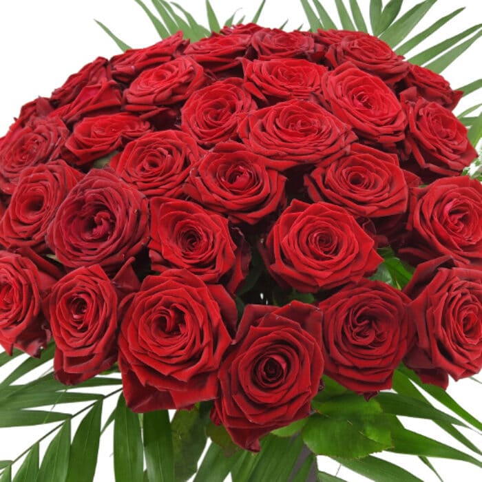 Røde Roser - Gardenia Blomster Butik